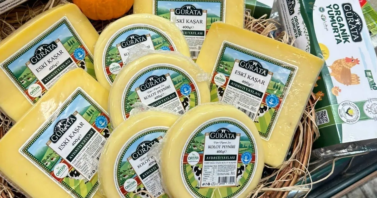 AYBASTI PEYNİRİ EN ÇOK NİŞANTAŞI ve BAKIRKÖY’DE SATILDI - Fatsa Gazetesi